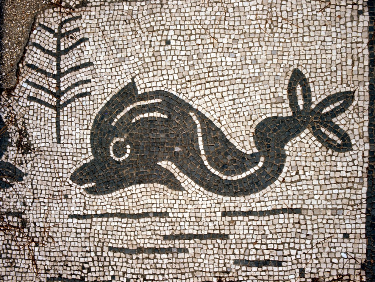 Representation of a dolphin after a mosaic in the square of the ...