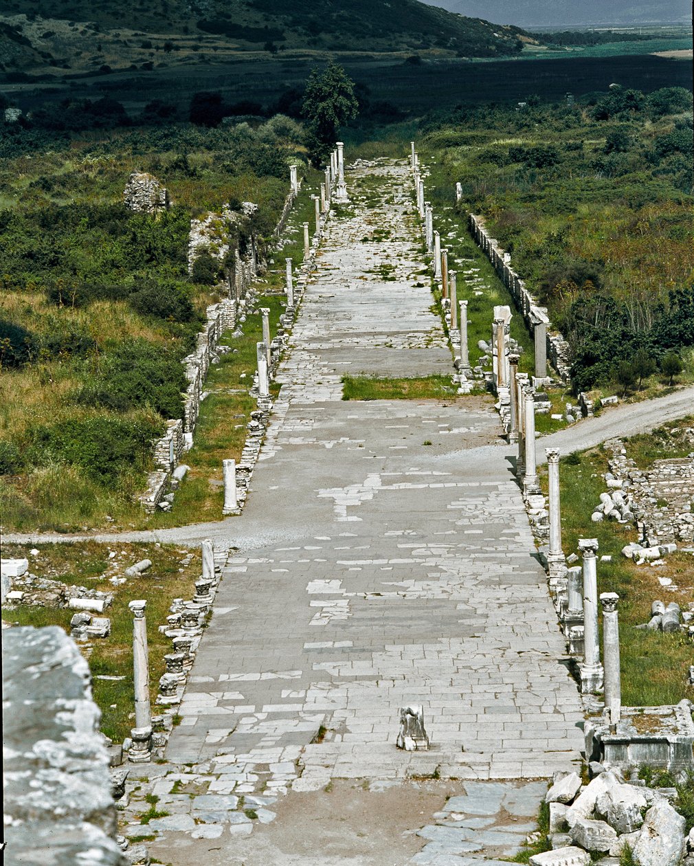 View of the Port Way connecting the port to the theatre, 2nd century