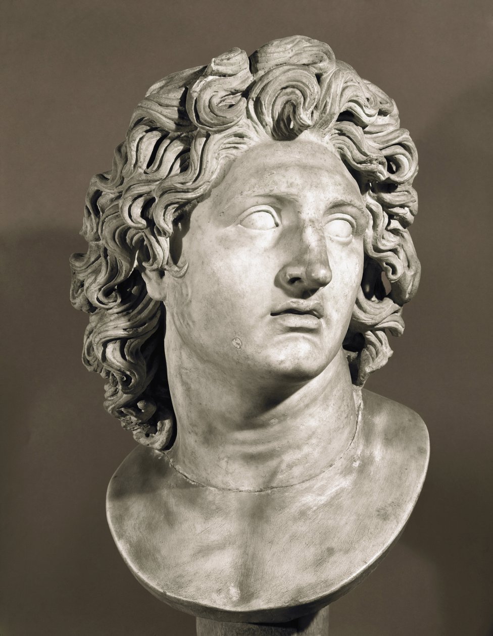 Bust of Alexander the Great by Roman Roman: Fine art print