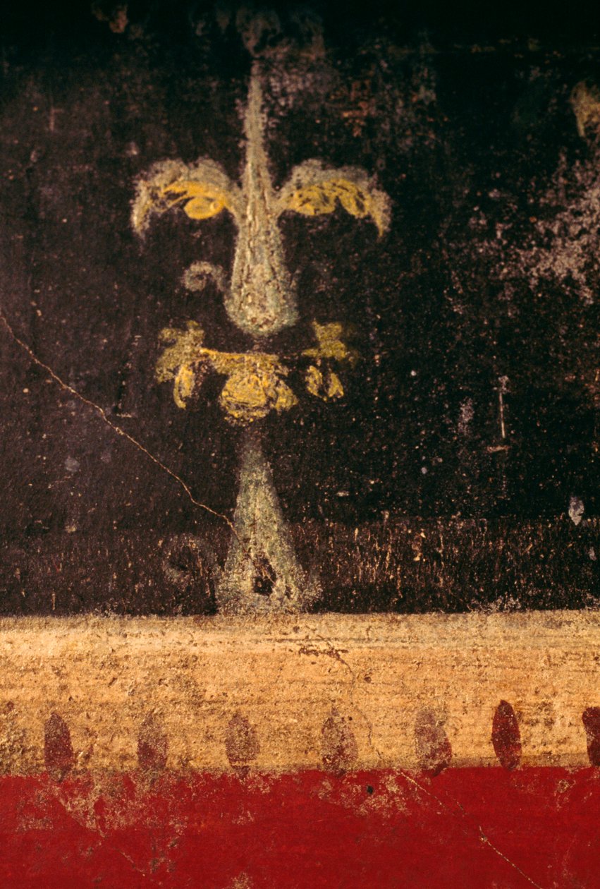 Decorative element, detail from fresco in triclinium of House of the ...