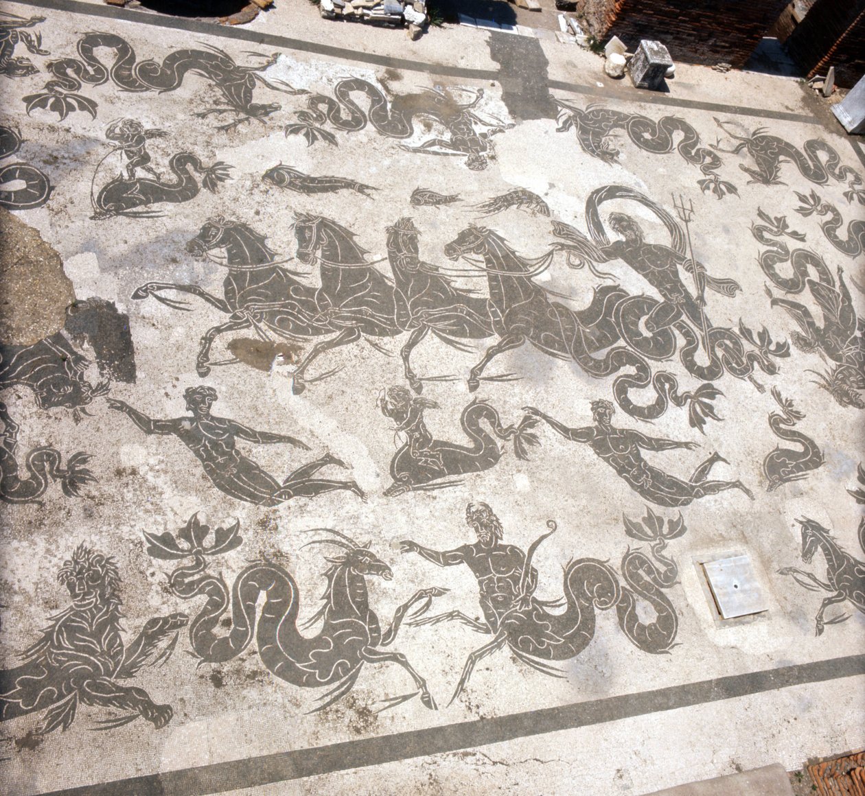 Ostia Ancient: mosaic of the Baths of Neptune by Roman Roman
