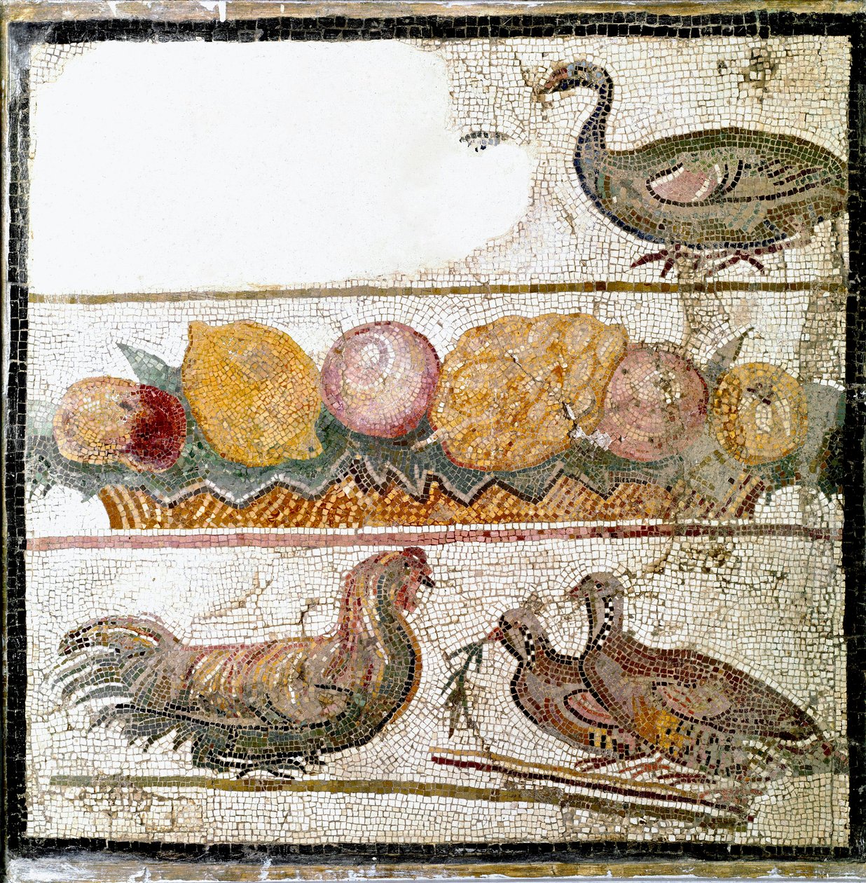 Roman Art: Mosaic Depicting Hens, Goose, Poultry