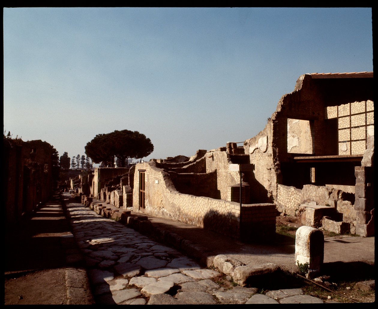 View of Decumanus Maximus by Roman Roman: Fine art print