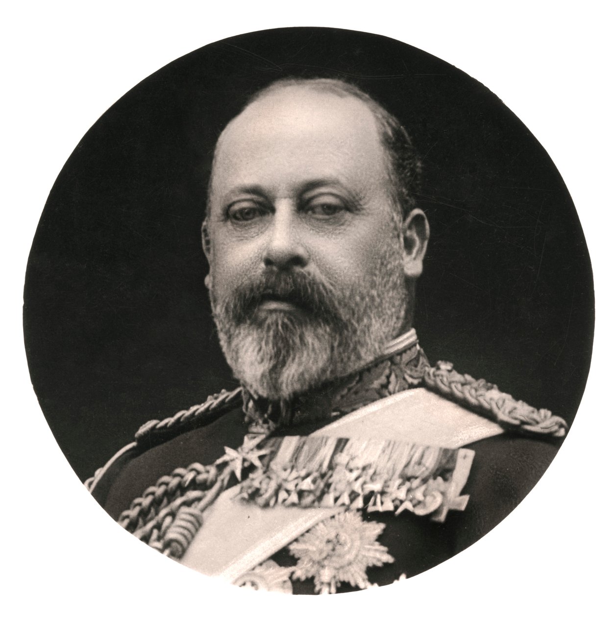 King Edward VII by Rotary Photo: Premium art reproduction