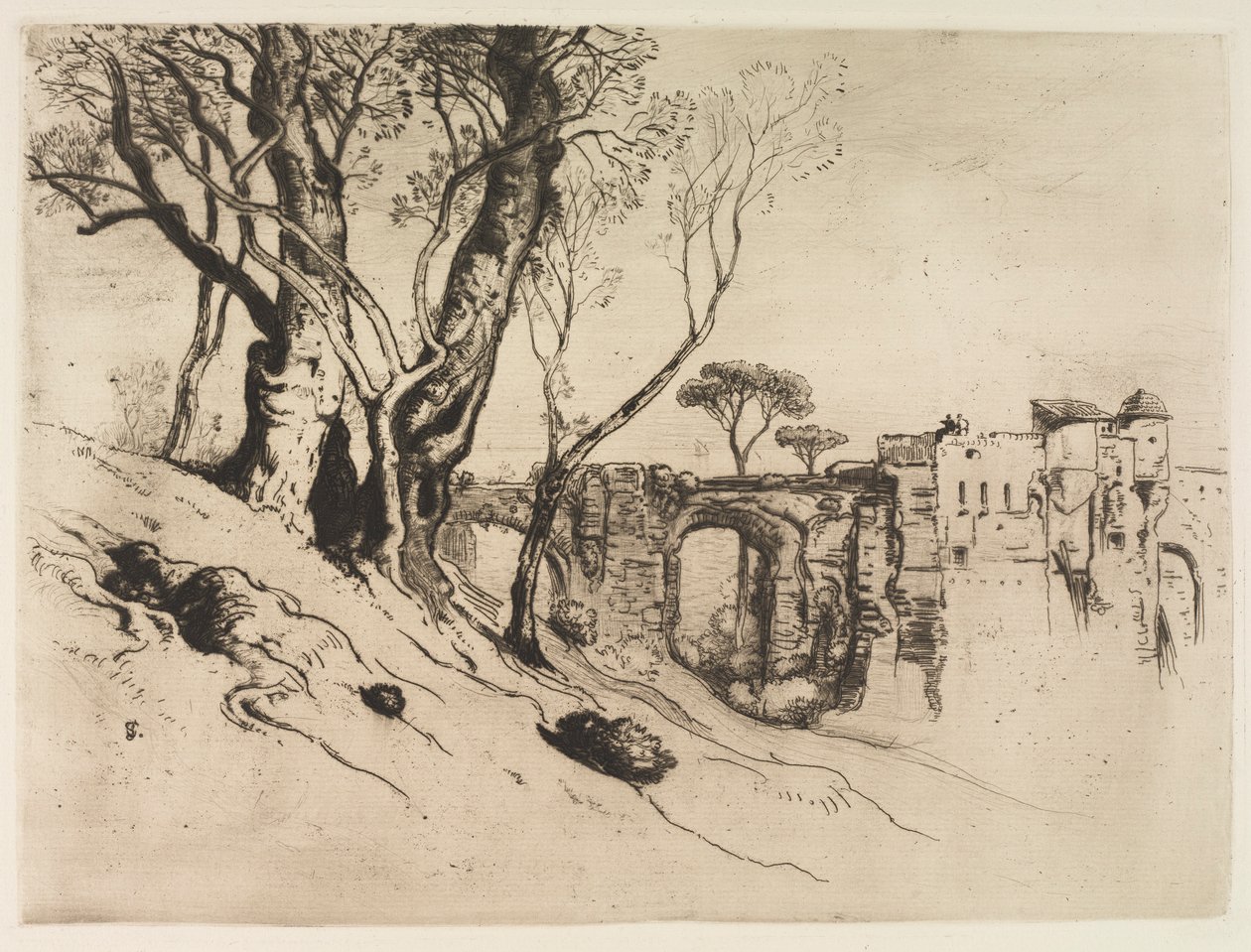 Olive Trees of the Riviera by Samuel Colman