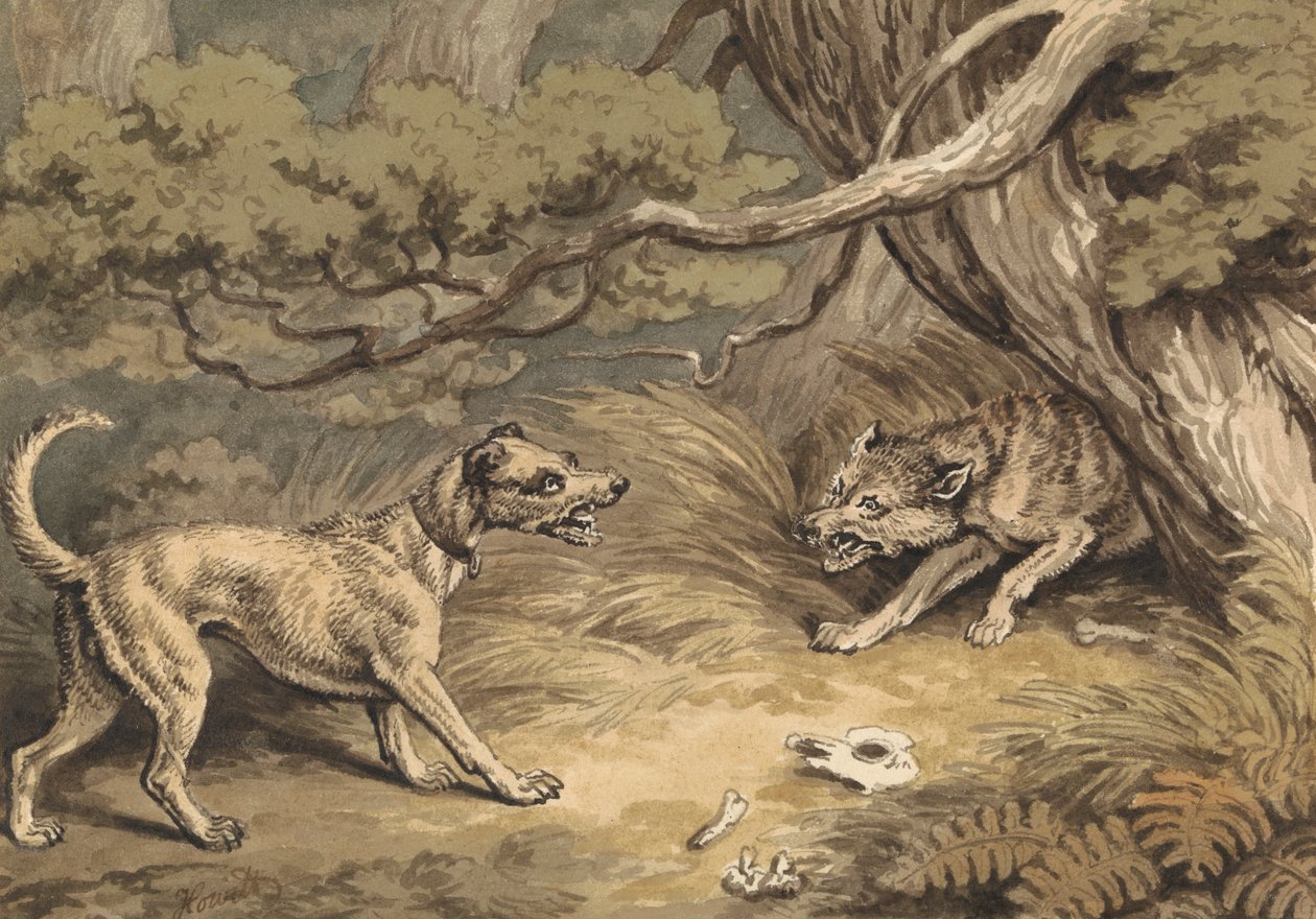 The Dog and the Wolf by Samuel Howitt: Buy fine art print