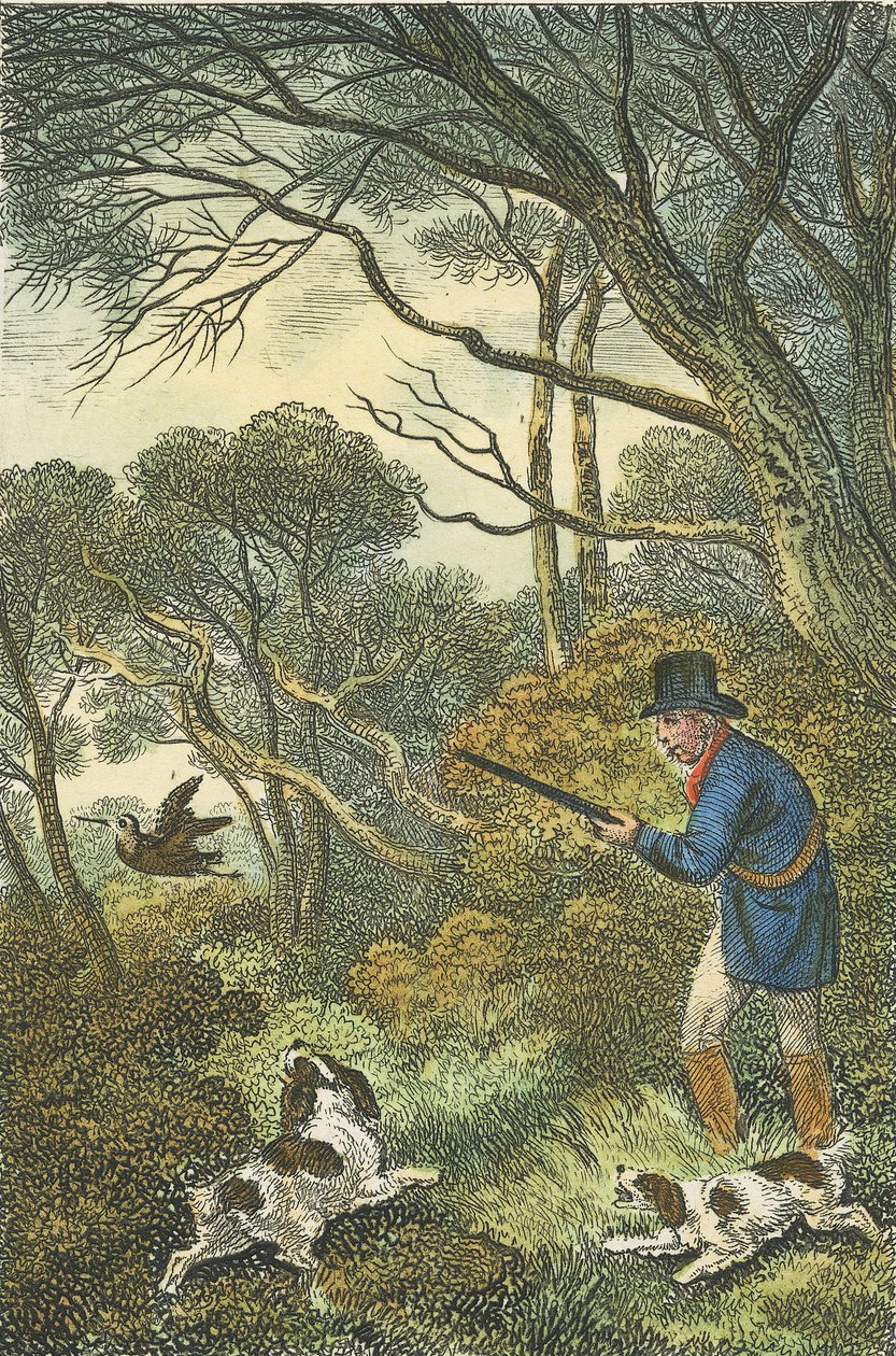 Woodcock Shooting, 1819 by Samuel Howitt: Fine art print