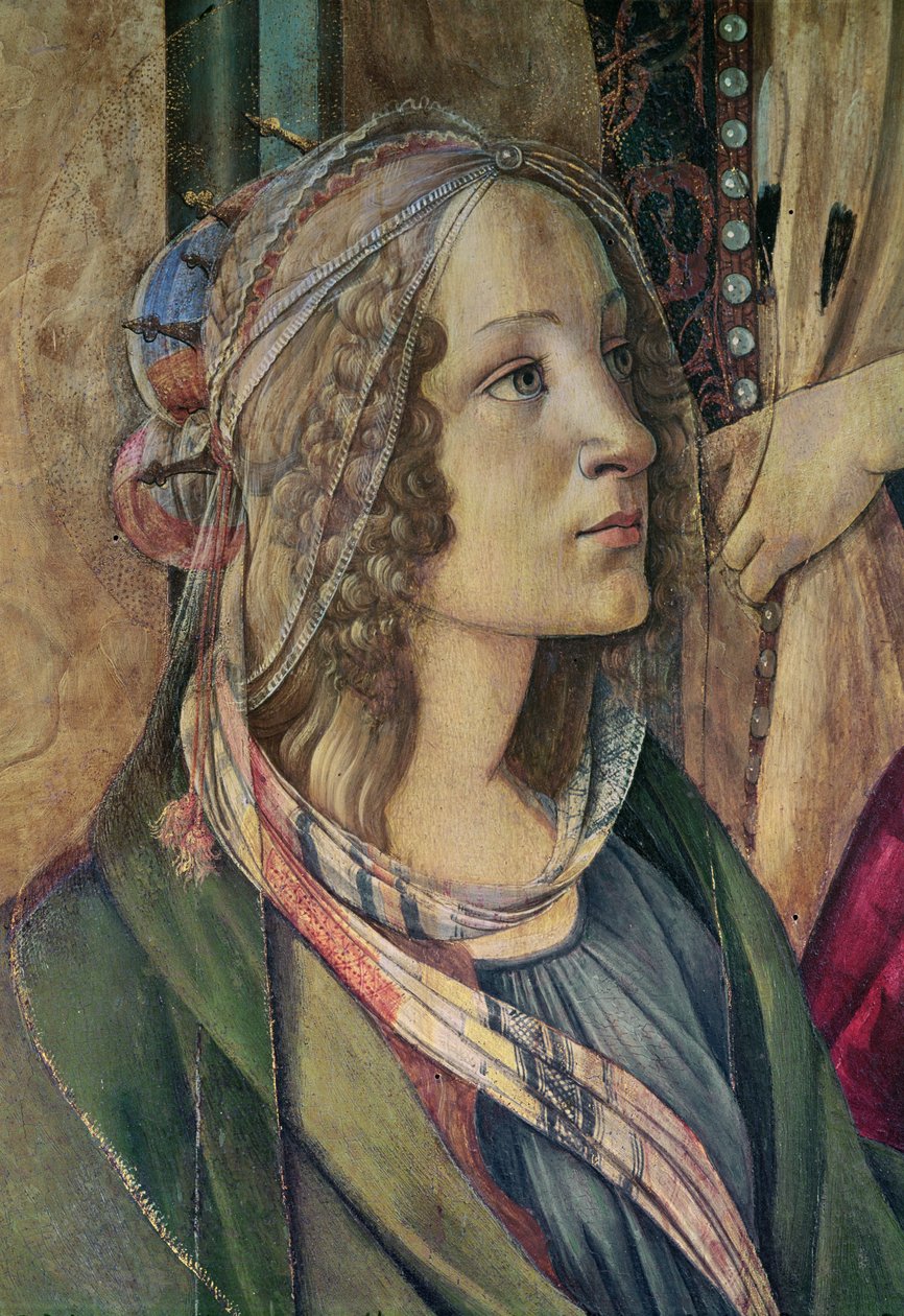 St. Catherine (detail) from the Altarpiece of San Barnaba, c.1488