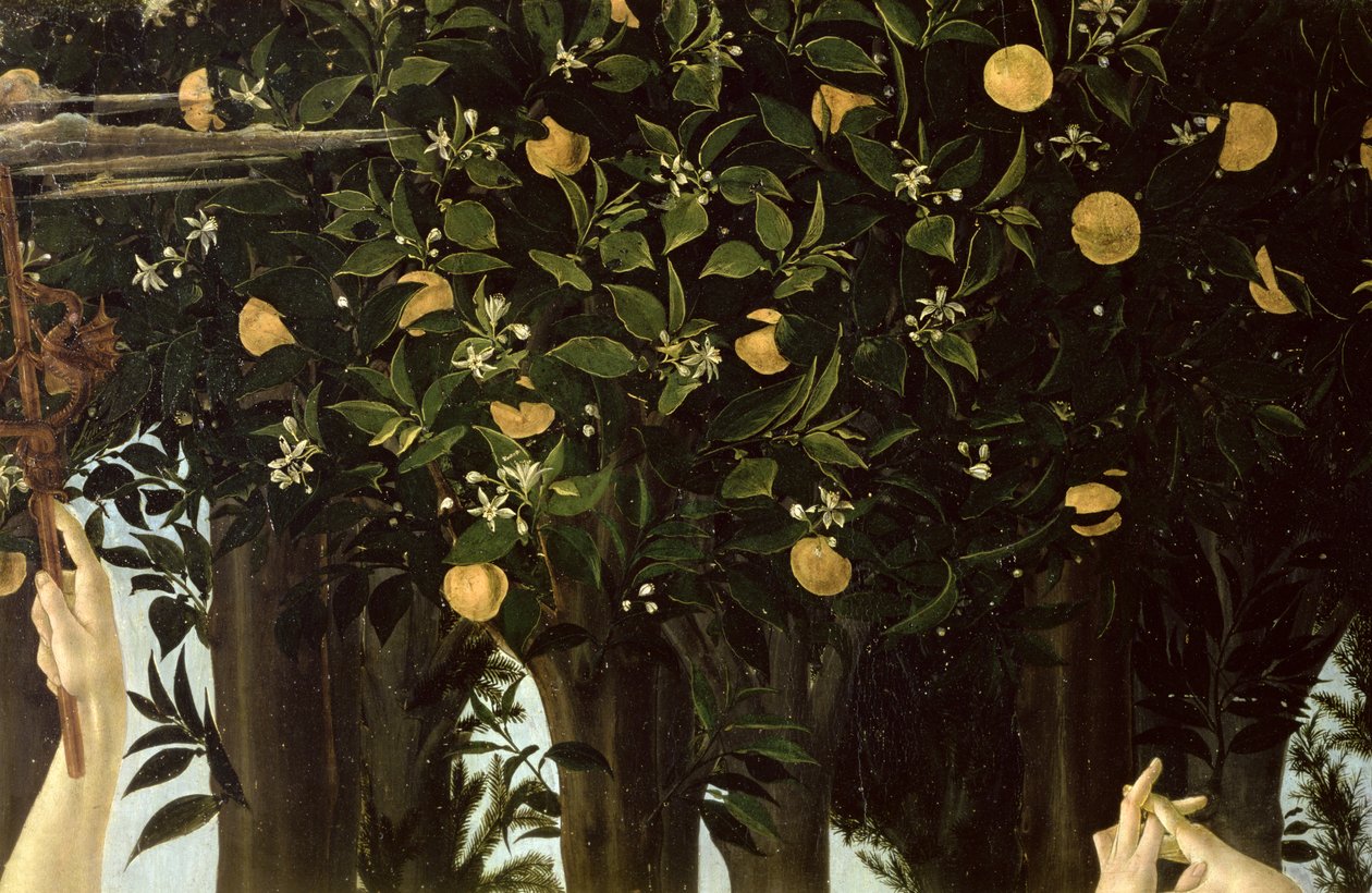 Primavera (detail) by Sandro Botticelli: Fine art print