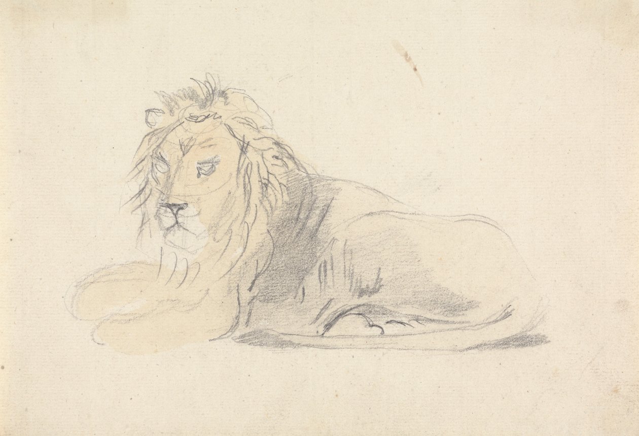 Study of a Lion by Sawrey Gilpin: Buy fine art print