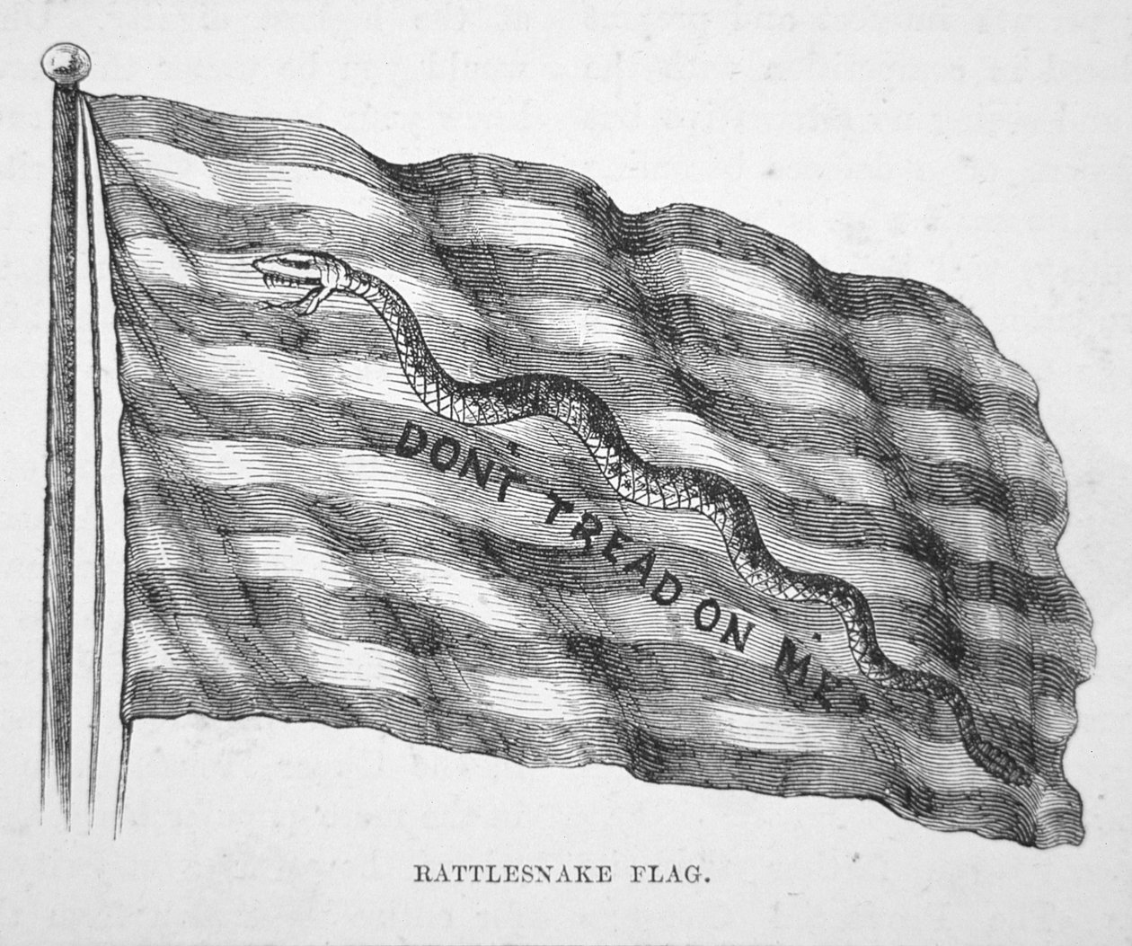 The American Naval Flag, as Flown by John Paul Jones