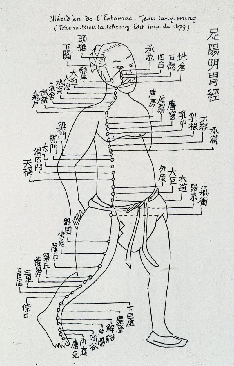 Chinese Acupuncture Points How Acupuncture Can Help Relieve Chronic