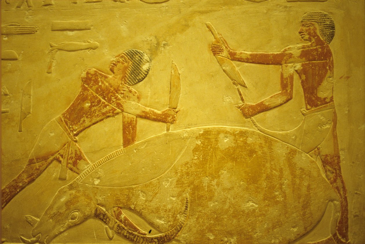 Ancient Egypt, Wall carving/painting, Mastaba/Tomb of Idout, Saqqara ...