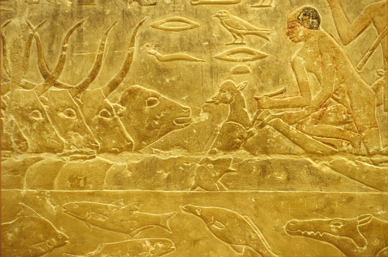 Ancient Egypt, Wall Carving/Painting, Mastaba/Tomb of Idout, Saqqara ...