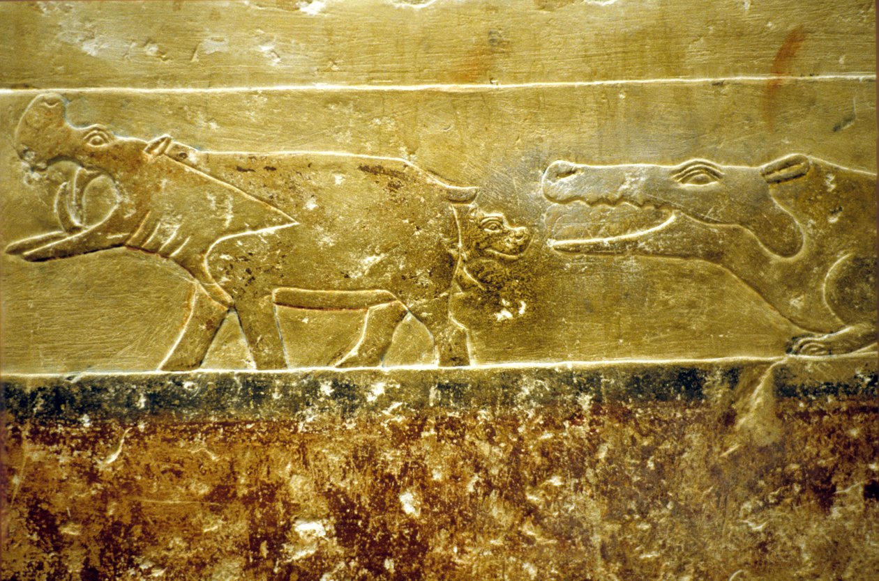 Ancient Egypt, Wall Carving/Painting, Mastaba/Tomb of Idout, Saqqara ...
