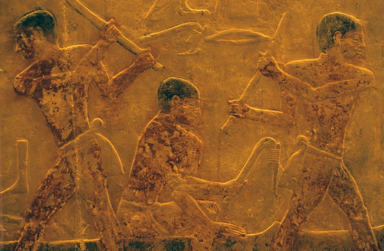 Ancient Egypt, Wall Carving/Painting, Mastaba/Tomb of Ti, Saqqara, 5th ...