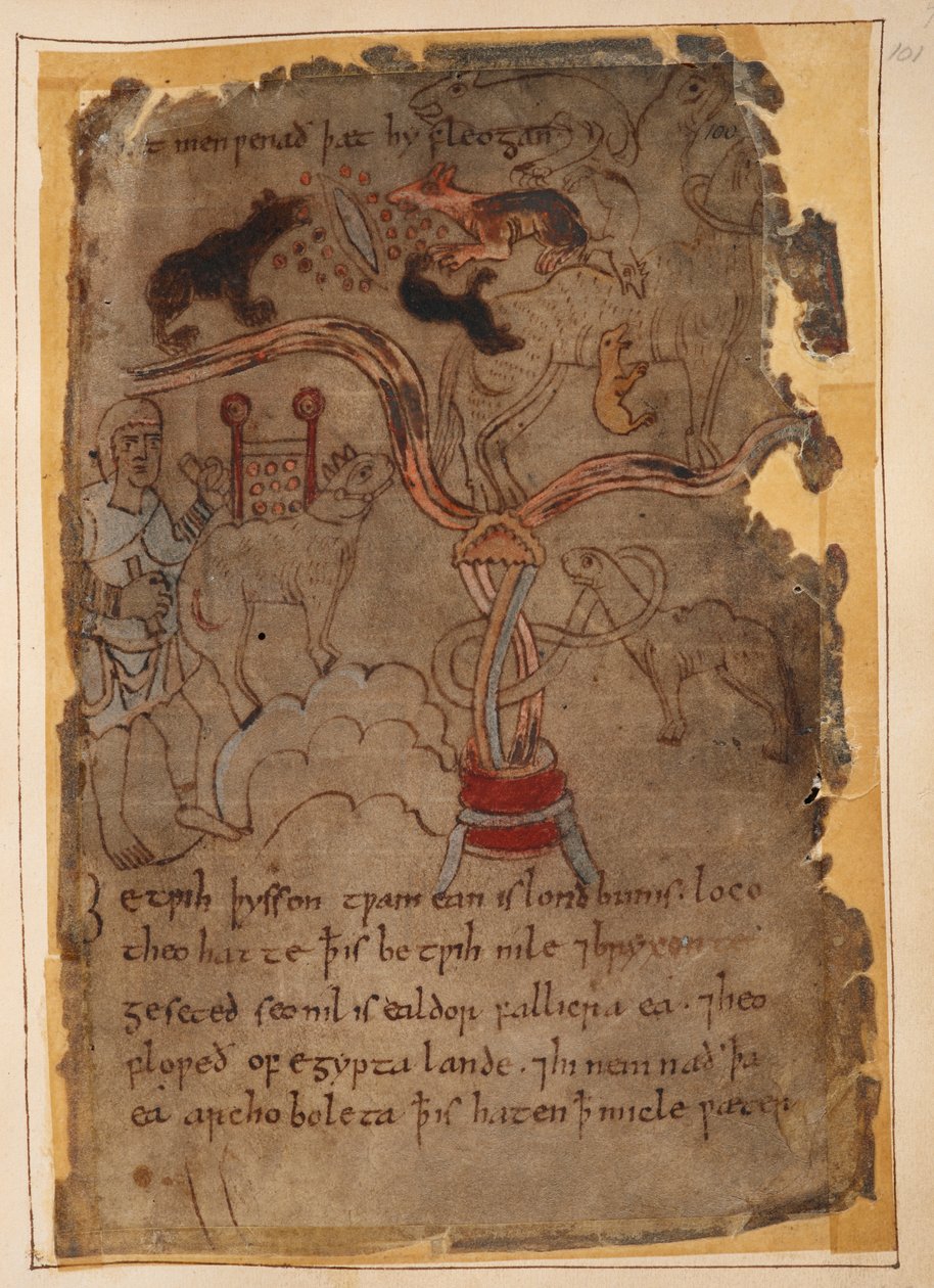 Anglo-Saxon Drawings of Animals by School English