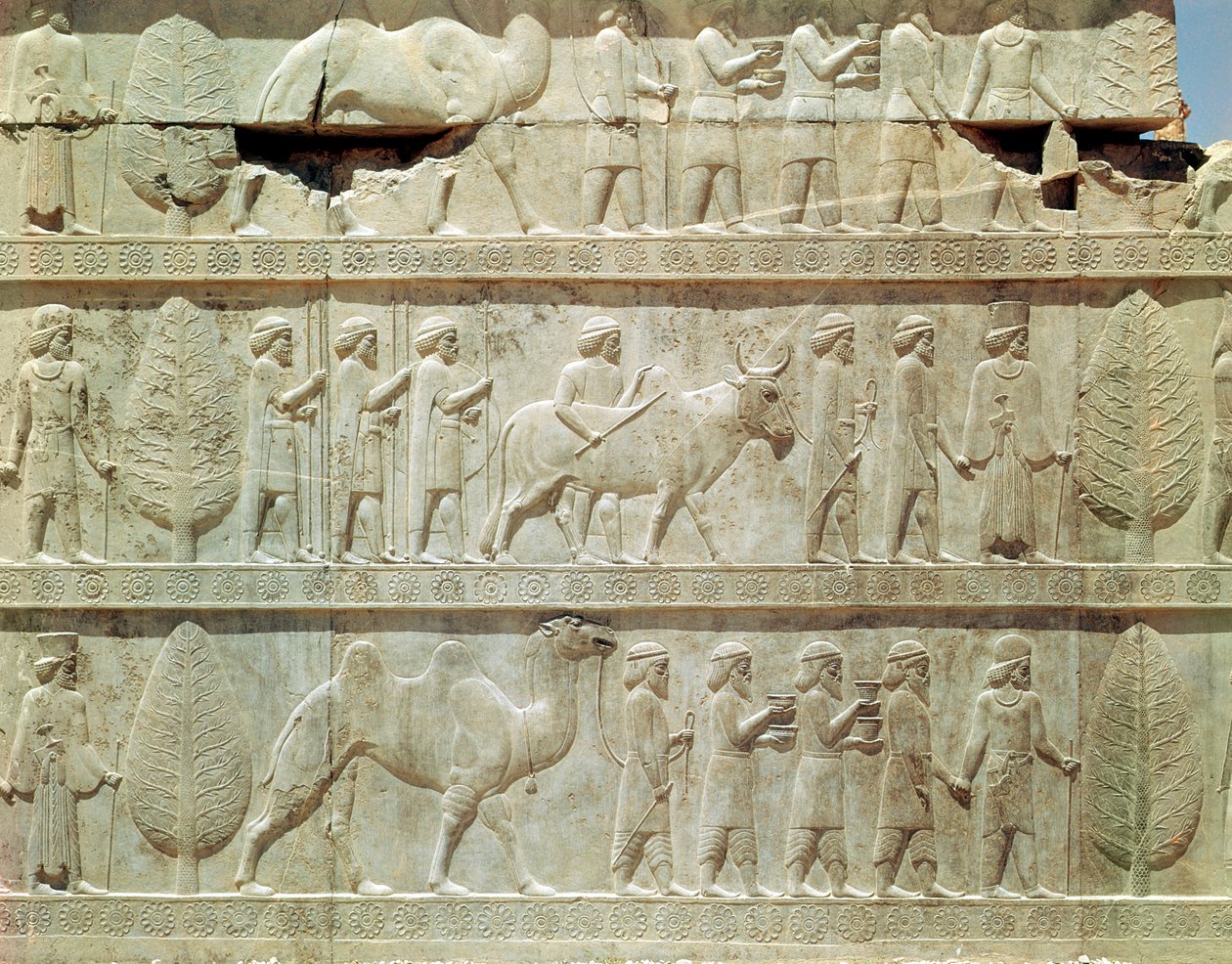 Detail of the relief frieze on the East stairway to the Apadana ...