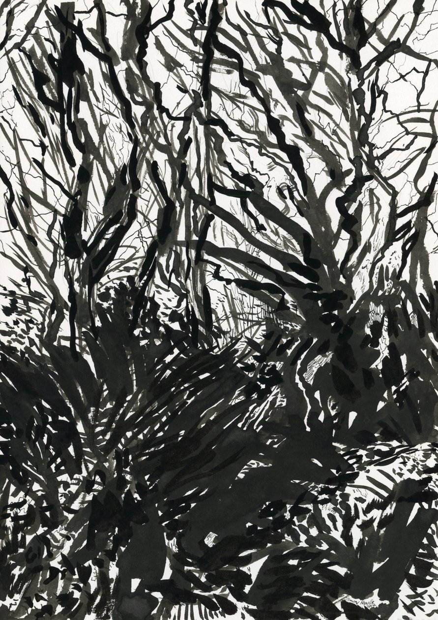 Ham Common Woods by Simon Neville: Buy fine art print