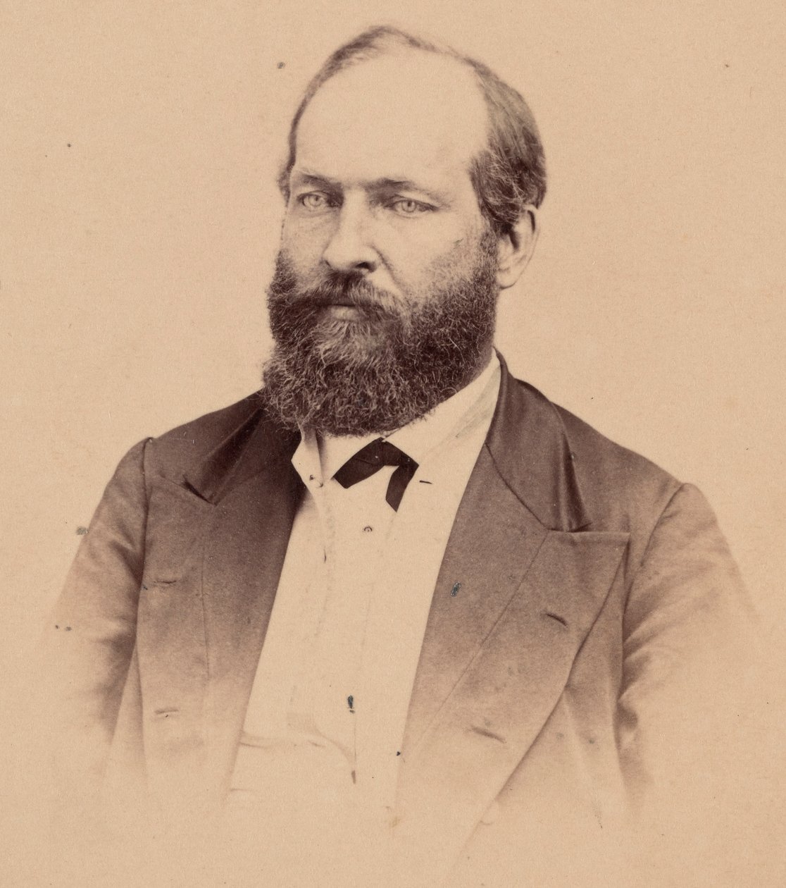 Portrait of James Abram Garfield 1831-1881, 1869