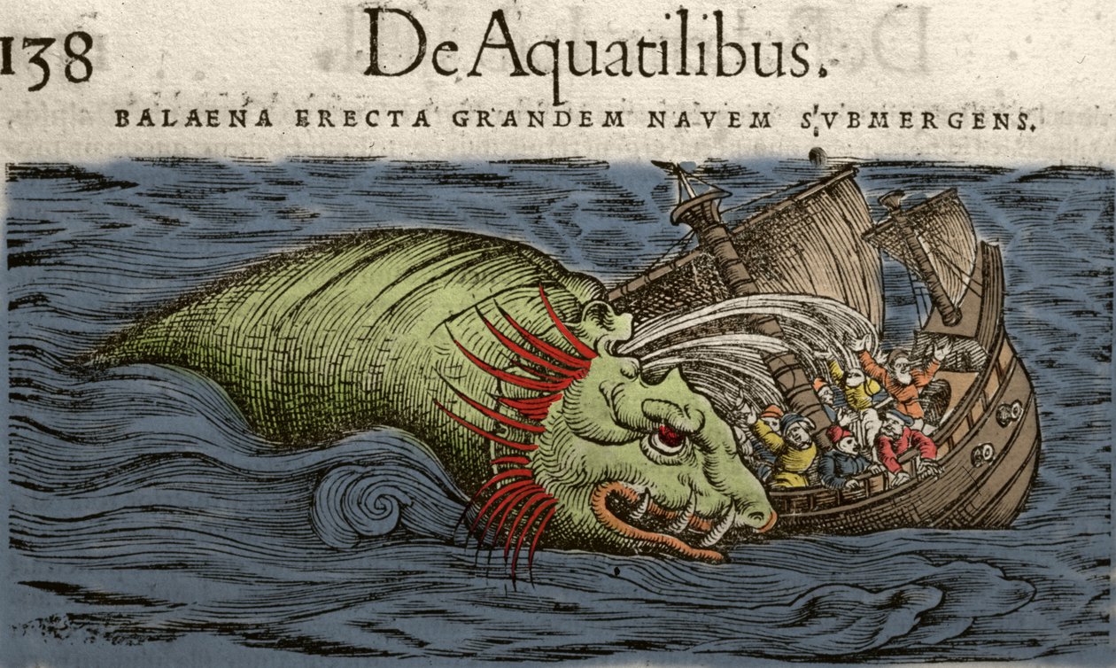 Sea Monster attacking a Ship, illustration from 'Historiae Animalium ...