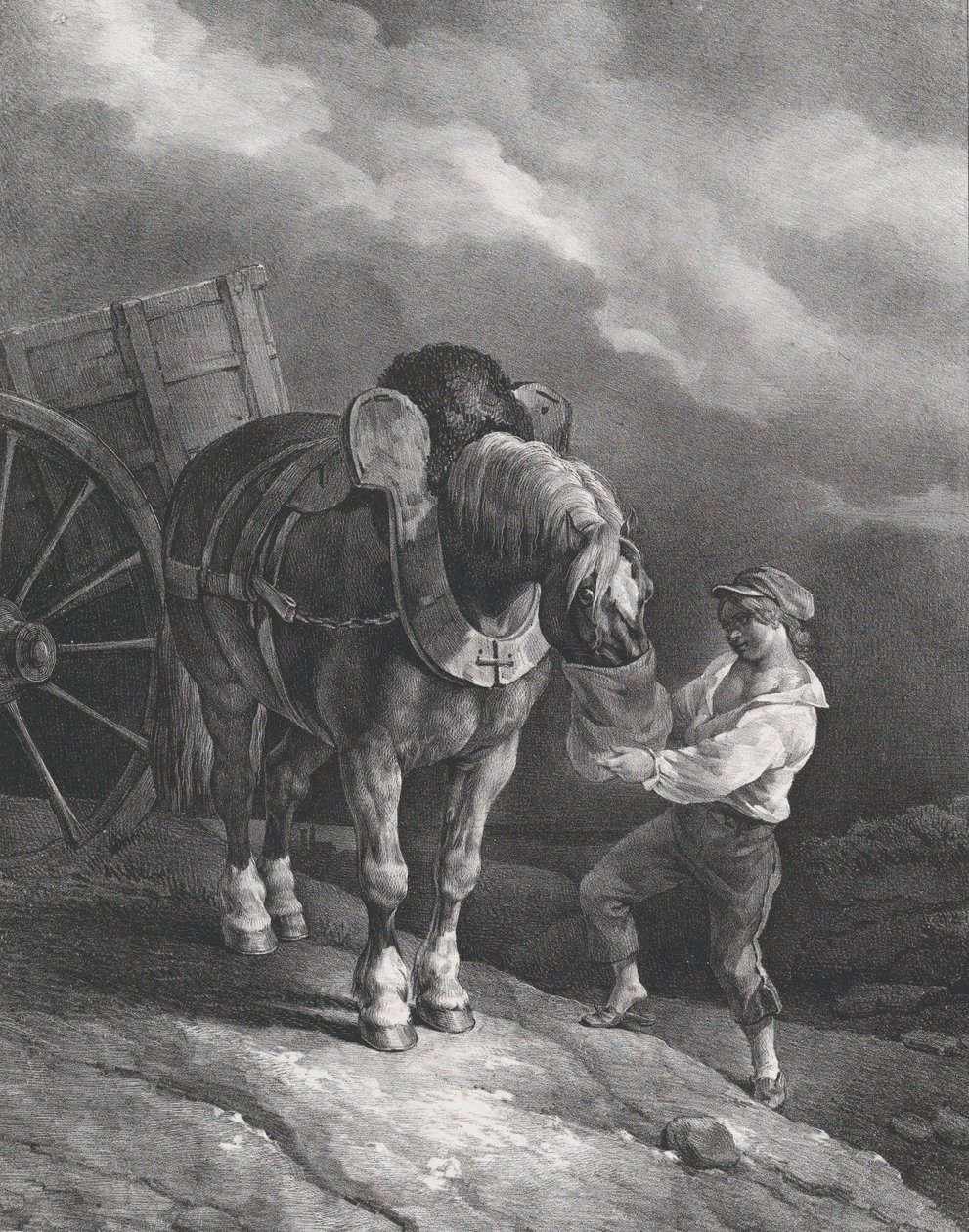 Boy Feeding a Cart Horse from a Nose Bag