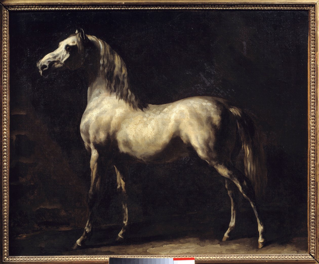 Study of a Horse by Theodore Gericault: Buy fine art prints