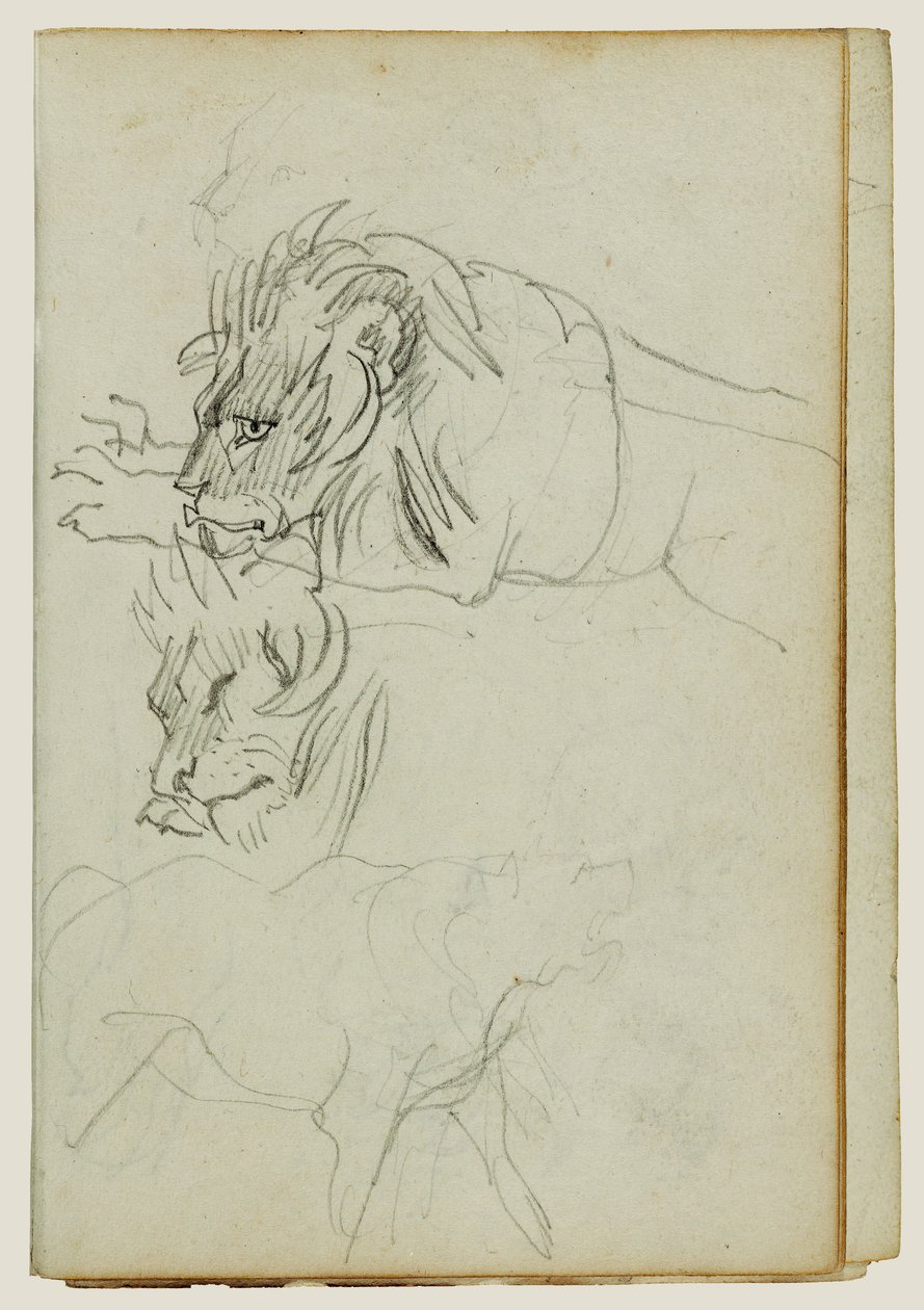 Three Lion Studies by Theodore Gericault: Fine art print