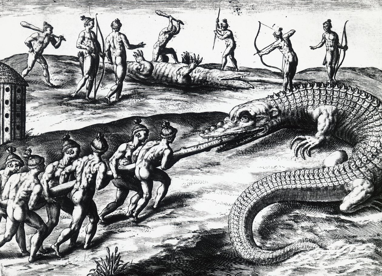 Crocodile Hunting in Florida, from painting by Jacques le Moyne de ...