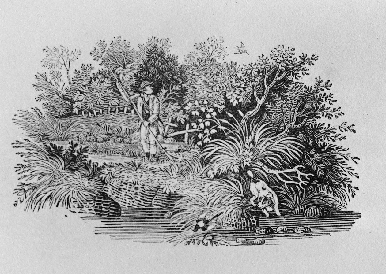 Looking for the Shot by Thomas Bewick: Buy fine art print