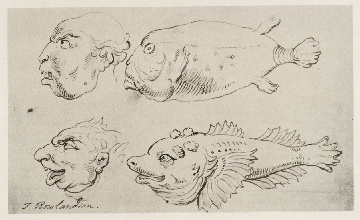 Anthropomorphic Heads of Men and Fish by Thomas Rowlandson