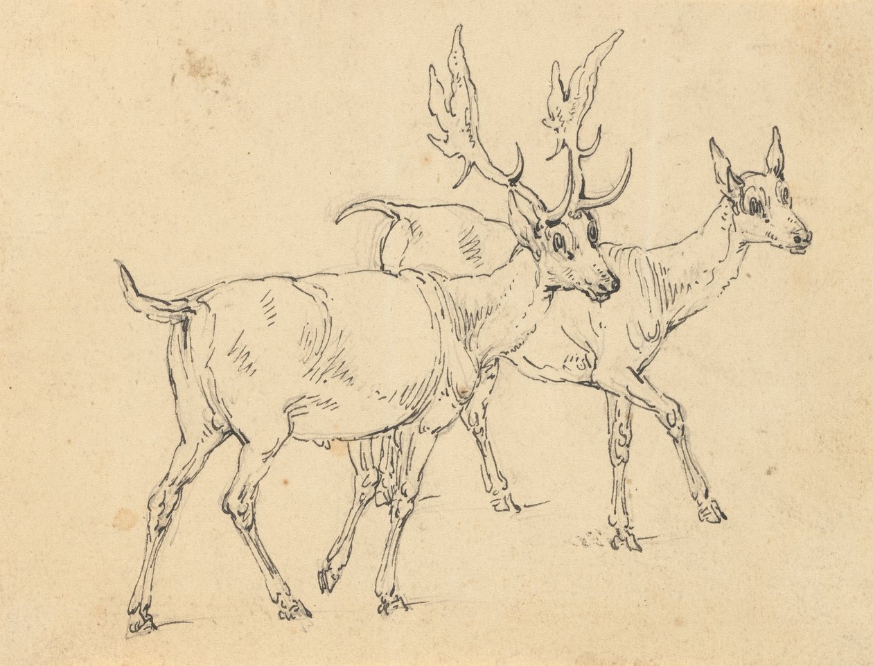 Album Drawing by Thomas Rowlandson: Buy fine art print