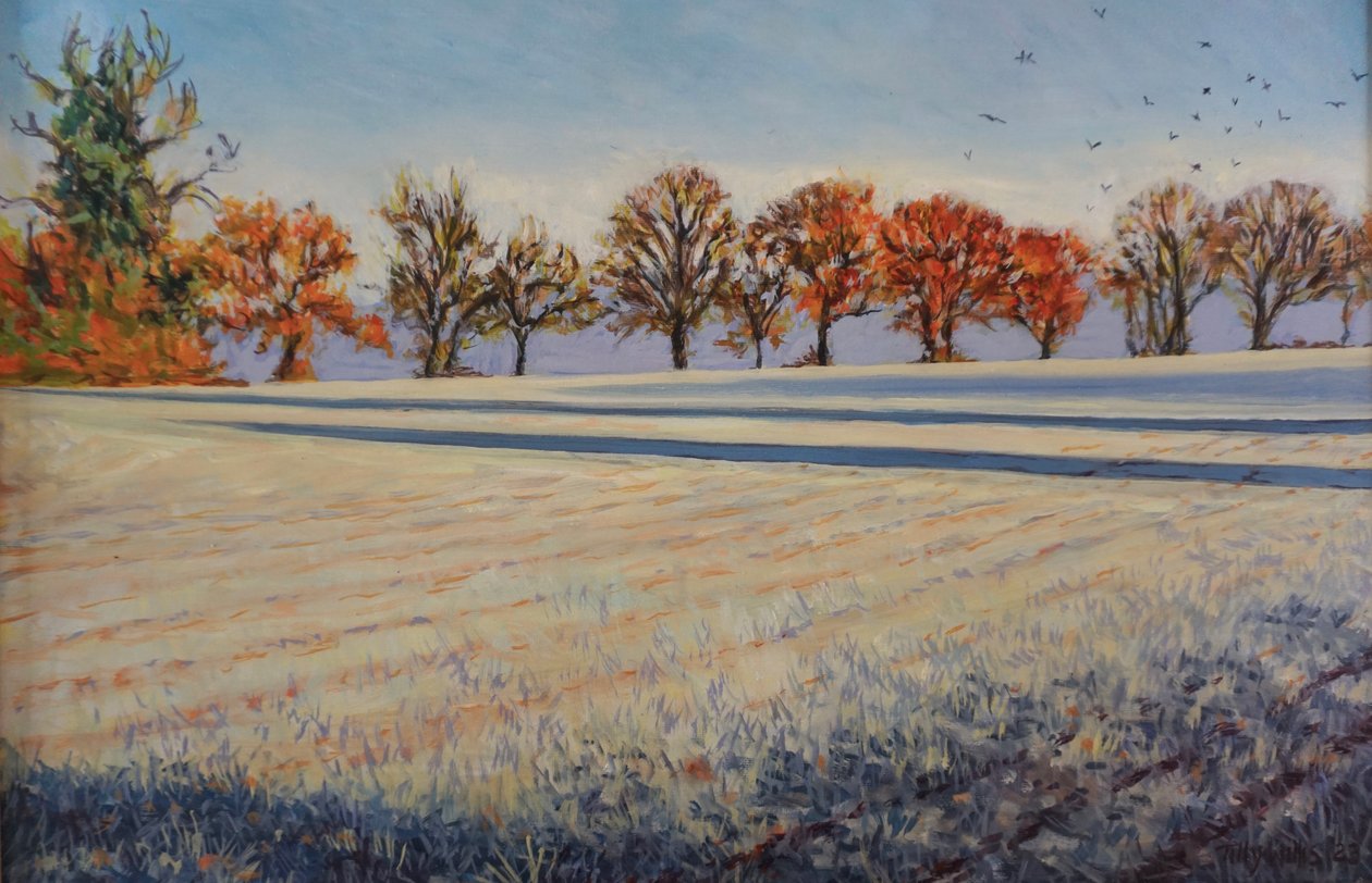 Frost on the Field by Tilly Willis: Buy fine art print