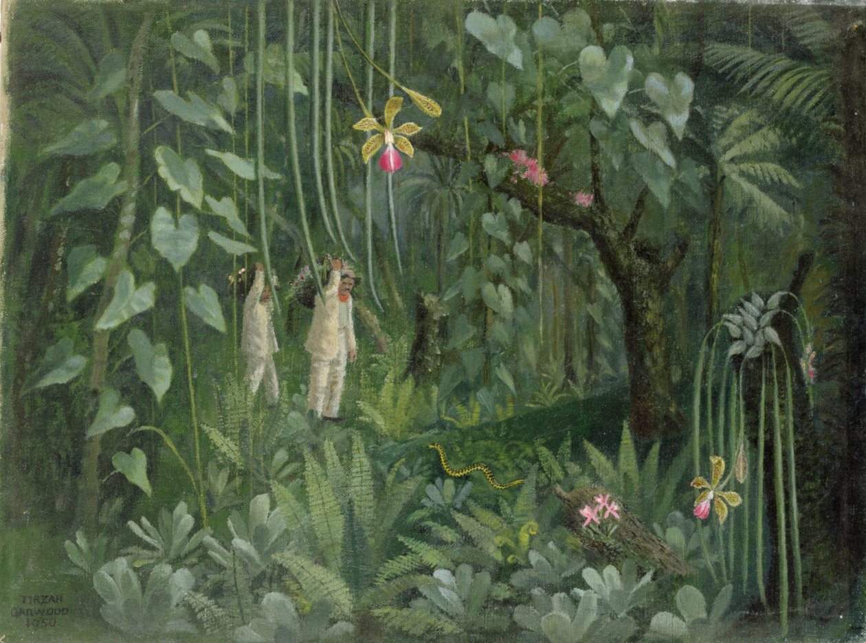 Orchid Hunters of Brazil by Tirzah Ravilious