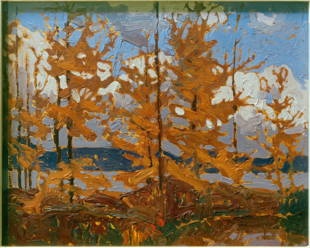 Tamaracks by Tom Thomson: Highest-quality art reproduction