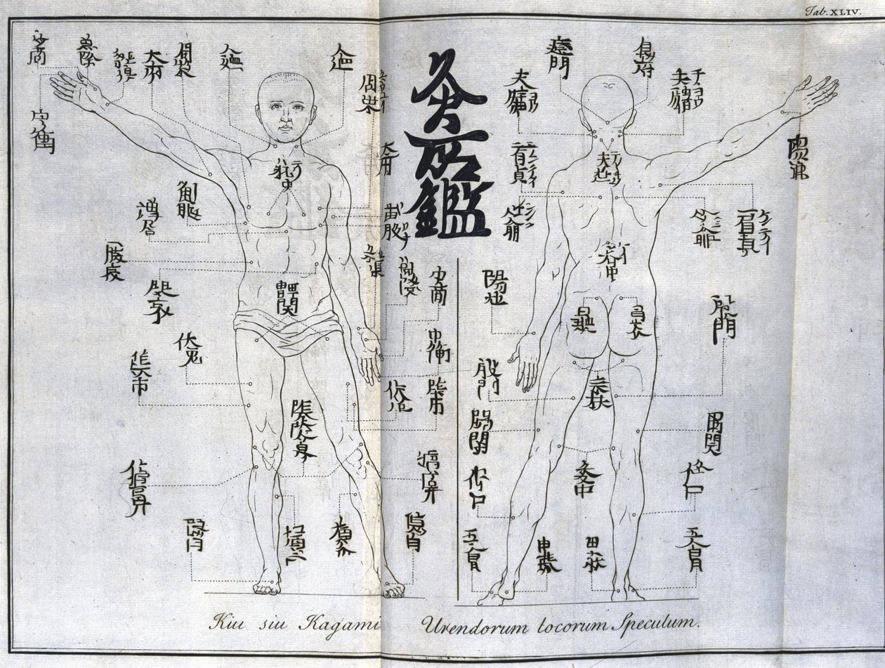 Acupuncture: Chart of the Human Body Indicating Moxibustion Points ...