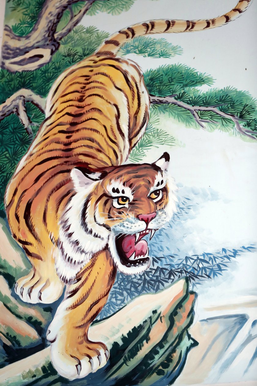 Hoi Tuong Te Nguoi Hoa Buddhist Chinese Temple. Tiger Painting. Phu ...