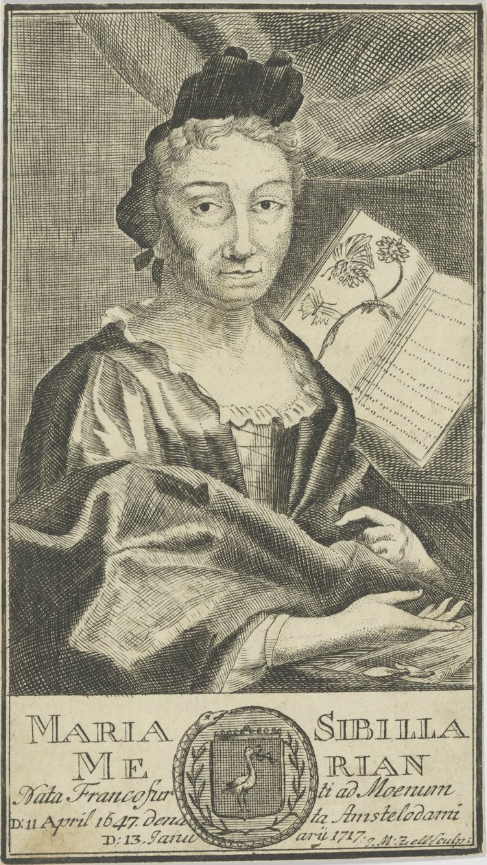 Portrait of Maria Sibylla Merian by Unbekannt