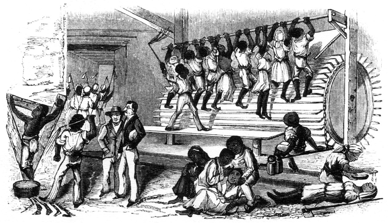 Scene from Slave Life by Unbekannt: Buy fine art print