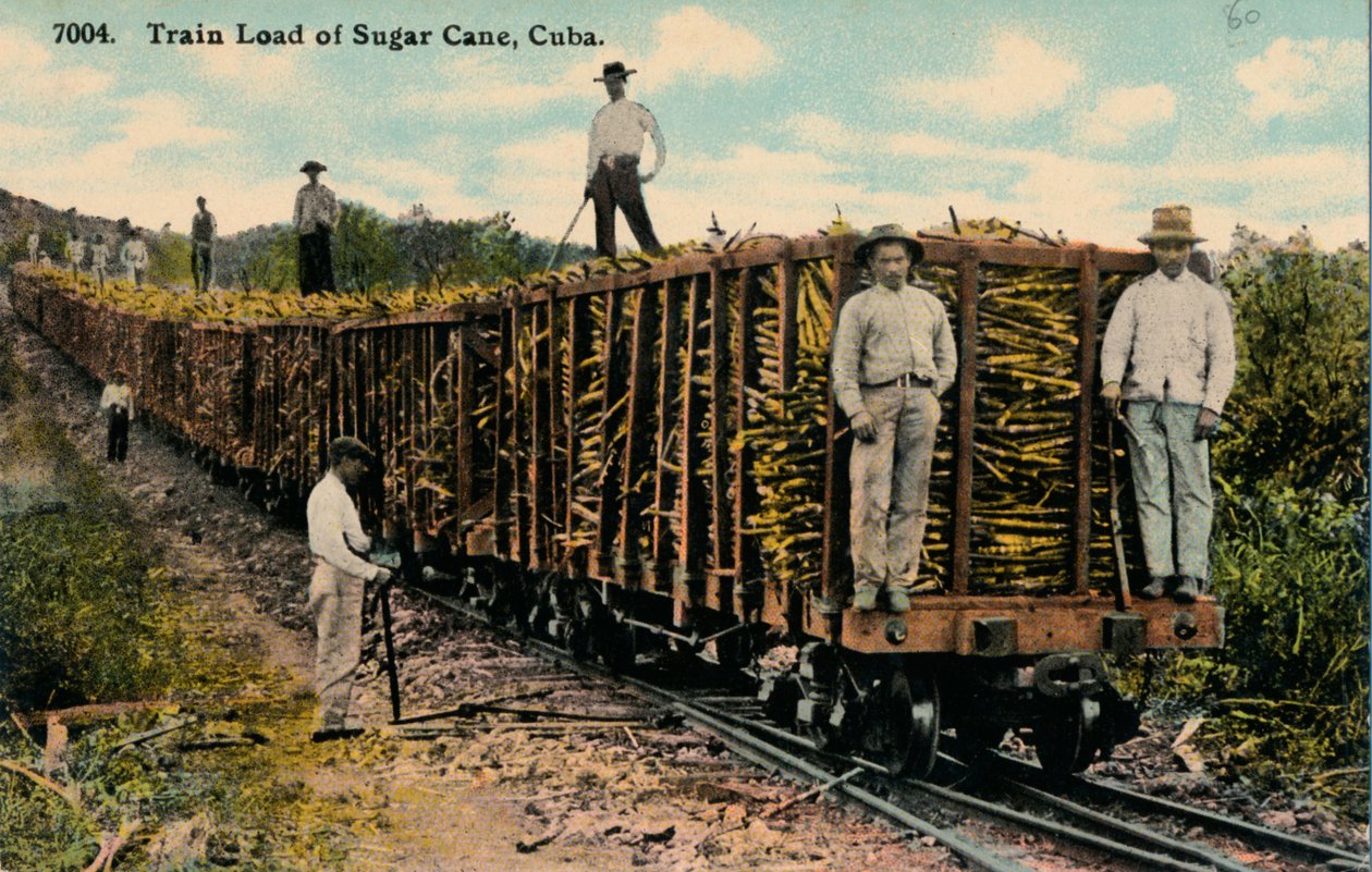 Train Load of Sugar Cane Leaving the Field, Cuba