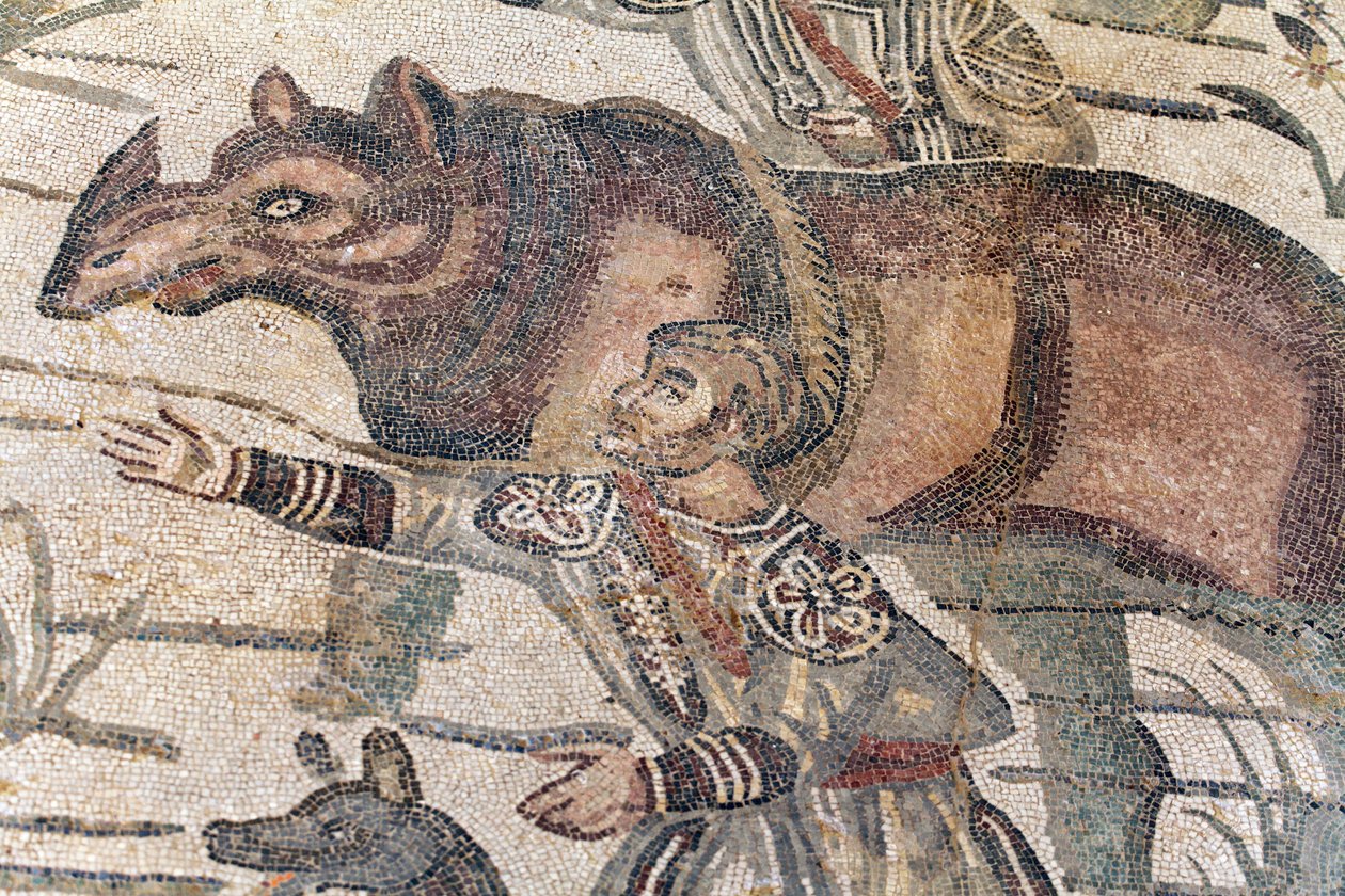 Detail of the great hunt mosaic. A rhinoceros is being led onto a boat ...