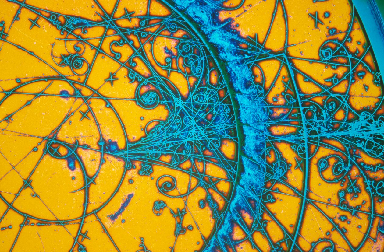 Aluminium Bronze, Light Micrograph by Unbekannt