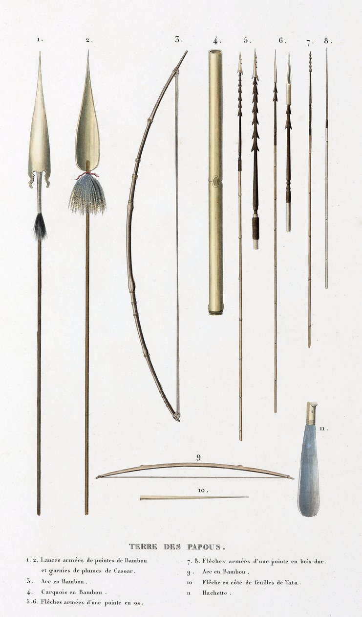 Spears, bows and arrows from the Land of the Papuans