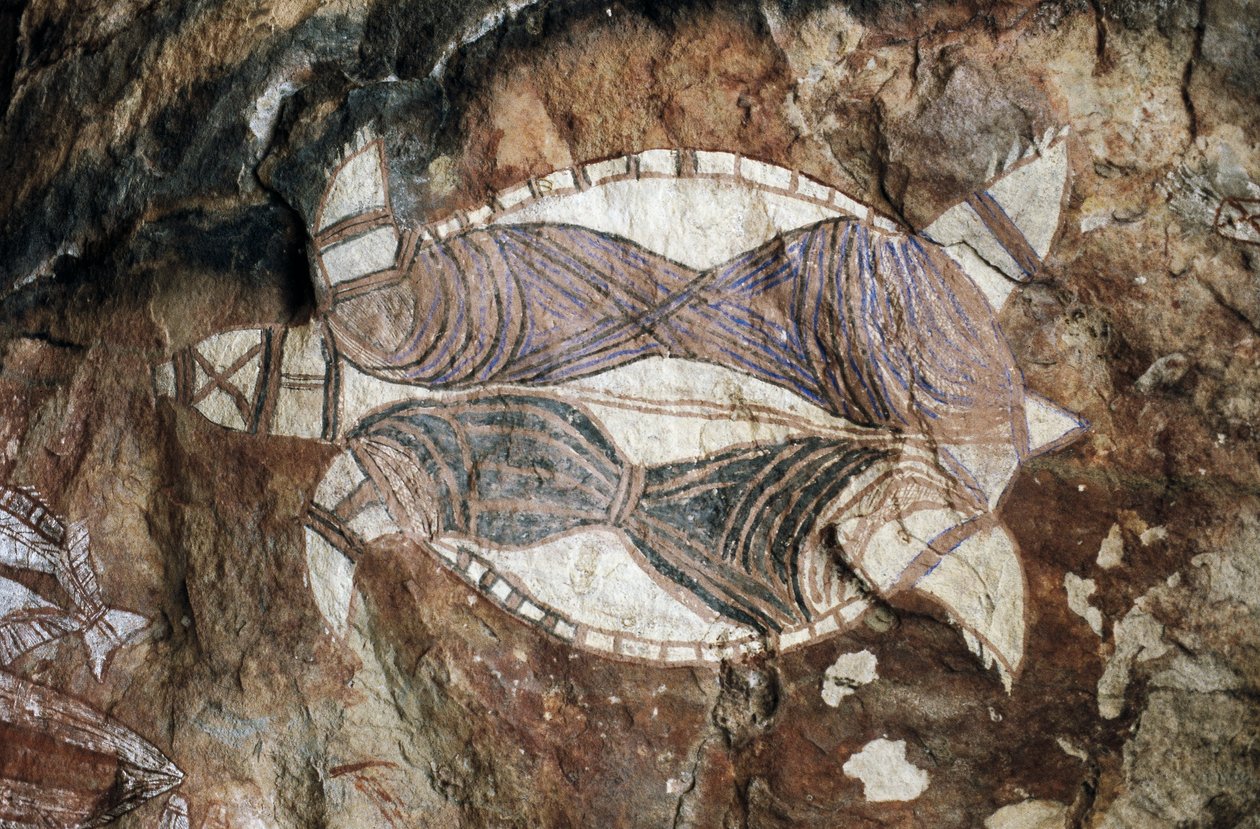 Turtle, Rock Painting, Arnhem Land, Northern Territory, Australia ...