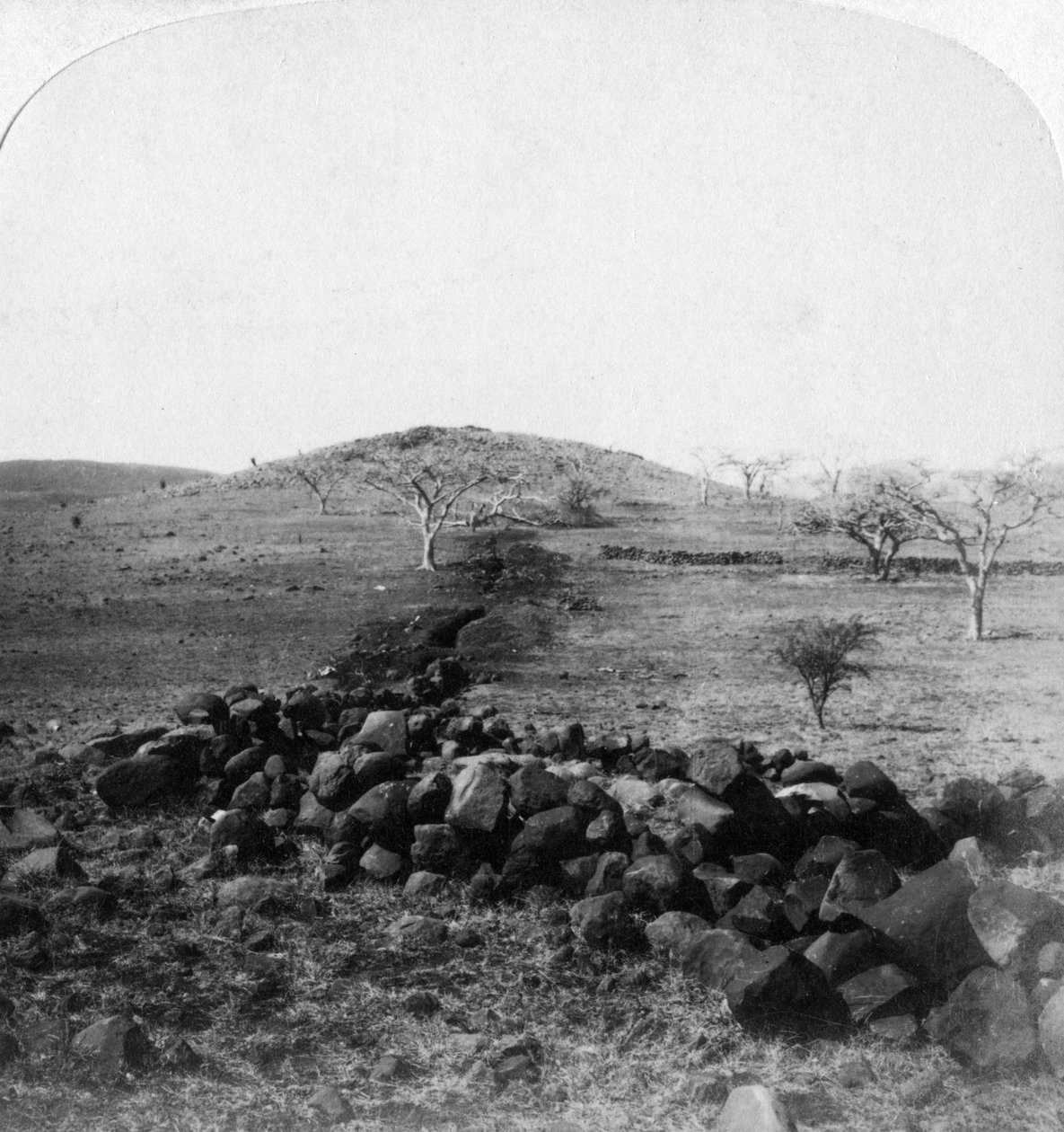 Boer Trenches and Crest of Harts Hill, Scene of the Irish Brigade's ...
