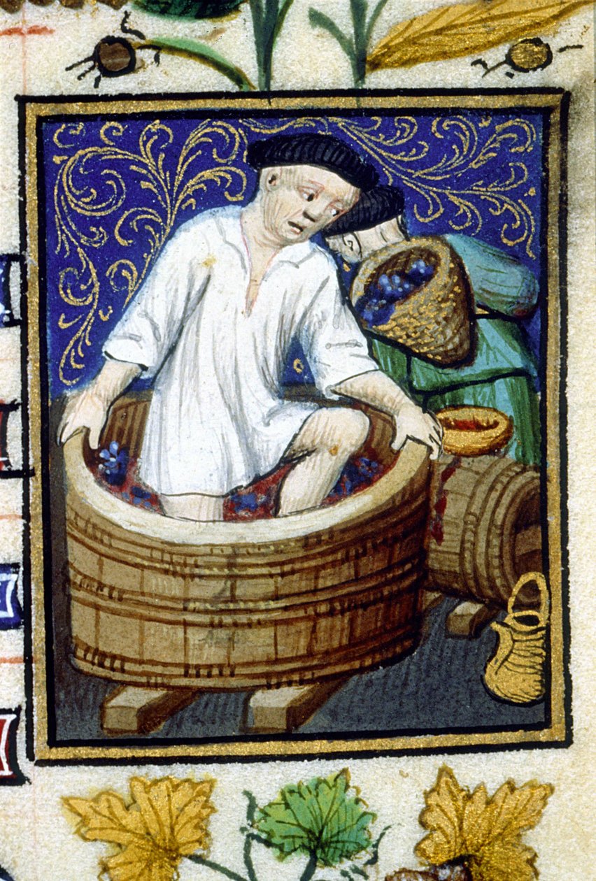 Allegorical representation of September. Harvest, grape stripping ...
