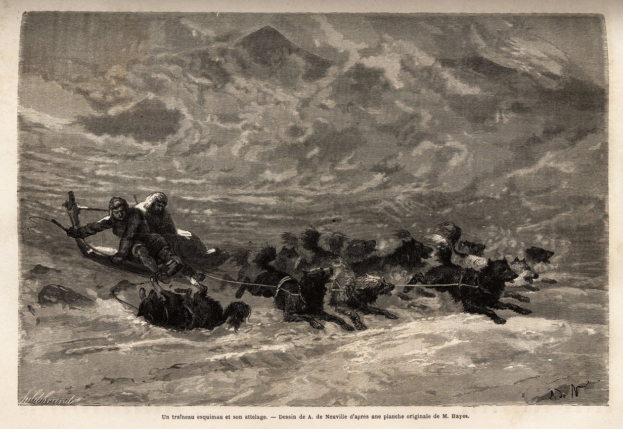 An Eskimo sleigh and its dog team, the fastest and most reliable way to ...