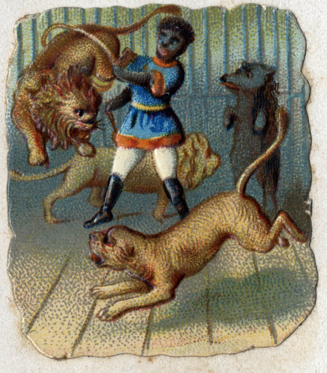 Circus: a tamer in a cage with wild animals