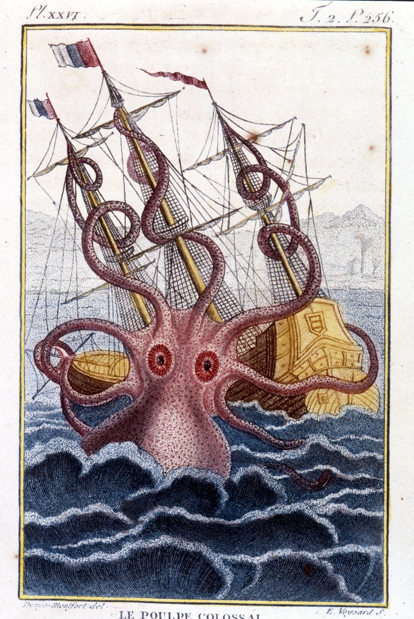 Octopus Attacking Ship Drawing