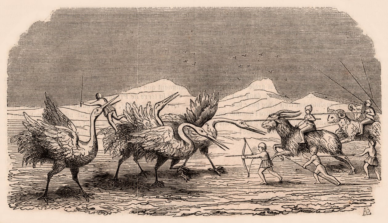 Representation of medieval tribes and animal species: group of Pygmies ...